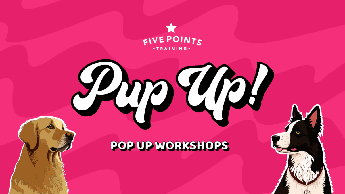 Pup Up! Pop Up Workshops - Five Points Training